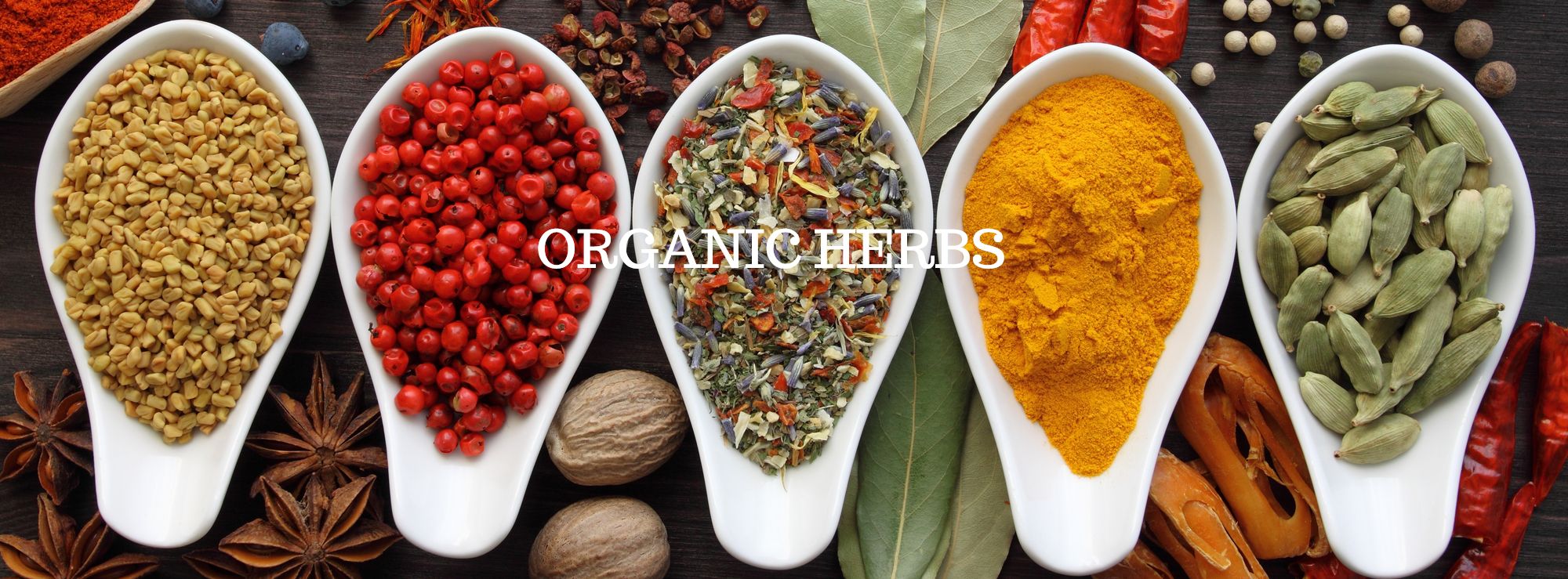 Organic Spices and Herbs for a Flavorful and Healthy Lifestyle | Spicy ...