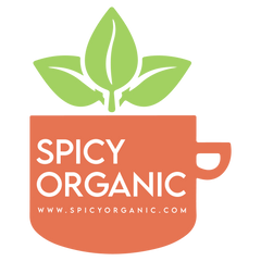 What can I do with Dried Ginger Root? | Spicy Organic